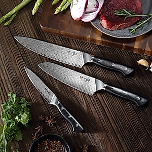 SIXILANG Knife Set, 3 PCS Professional Damascus Chef Knives, 67 Layer Japanese AUS10 Steel Core Forged Kitchen Knives, Well-Balanced Full Tang Handle Triple Rivet Handle - Black Gift Box