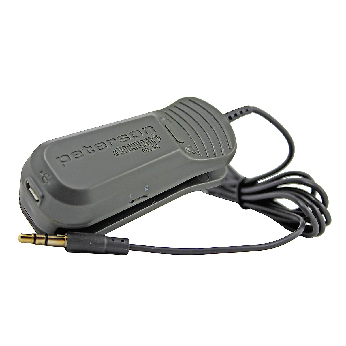 Peterson Metronome (BPS1)