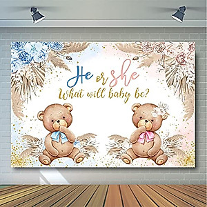 Avezano Boho Bear Gender Reveal Backdrop He or She Party Decorations Pink or Blue Pampas Grass Gender Reveal Party Photography Background Bohemian Bear Gender Reveal Decorations Photoshoot (7x5ft)