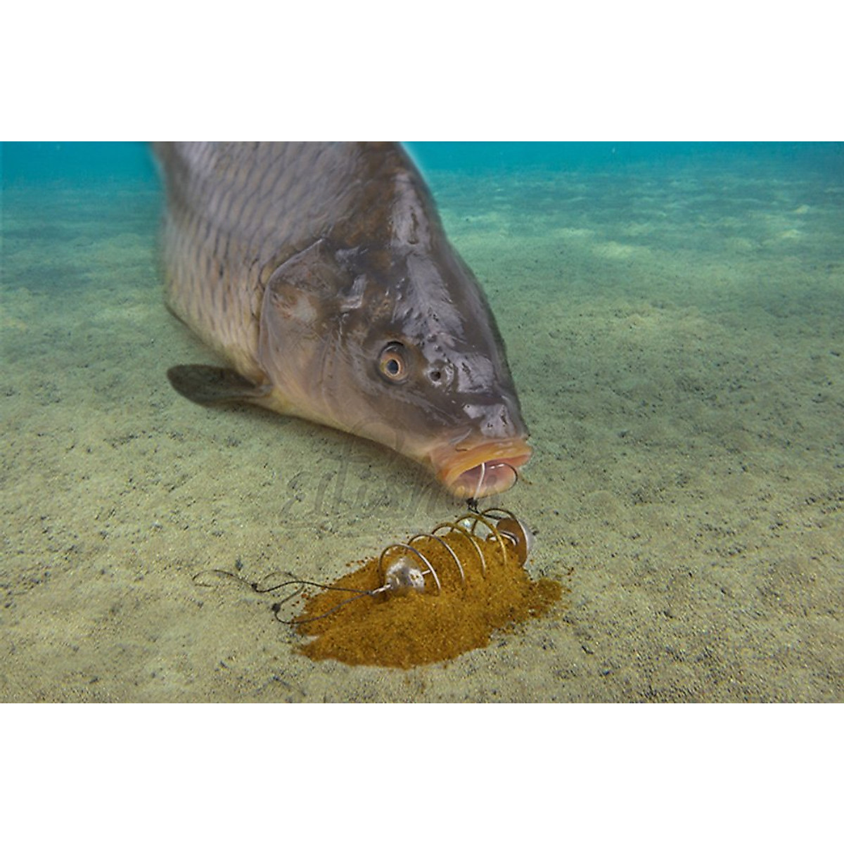 3pcs Carp Steel Spring Bait Fishing Feeder 0.85oz / 25g Set Fishing Hook Rig #4 Coarse Fishing Terminal Tackle