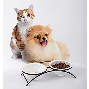 KitchenLeStar Cat Bowls,Cat Food Bowls Set,Ceramic Elevated Pet Dishes Bowls with Stand,12 oz Cats and Small Dogs Bowls,Dishwasher Safe.