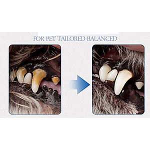 FANSUSENKE 60 Count Rawhide Knot Bones Dog Bulk Treats Chews Natural Rawhide Healthy Dog Teeth 2.5" (Natural)