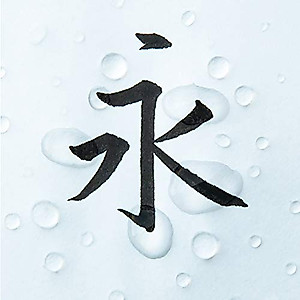 Pentel XFP5F Brush Pen, Pentel Brush, Ultra Fine, Black, 1.6 x 9.1 x 0.6 inches (40 x 230 x 15 mm)