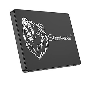 Somnambulist 2.5 inch SATA 3 60GB 960GB 2TB SATA3 SSD Laptop Internal Hard Drive (Black Bear-60GB)