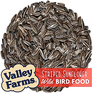 Valley Farms Striped Sunflower Wild Bird Seed for Outside Feeders, Striped Sunflower Seeds for Birds, Sunflower Wild Bird Food (25 LBS)