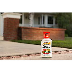 Spectracide Weed and Grass Killer Concentrate, 32 Ounces, With Accumeasure System