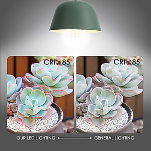 G9 LED Light Bulbs 4000K Warm White 7W Equivalent to 80W Halogen Replacements,Not Dimmable, Bi-Pin Base, LED Light Bulbs for Home and Office Use, 6 Count