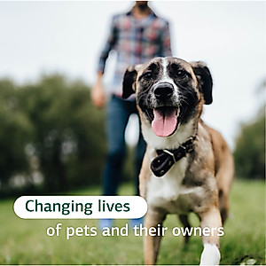 Standard Process Canine Whole Body Support - Multisystem Support Supplement for Canines - Nutritional Powder Supplement for Daily Health Maintenance - Multisystem Supplement Formula - 100 g