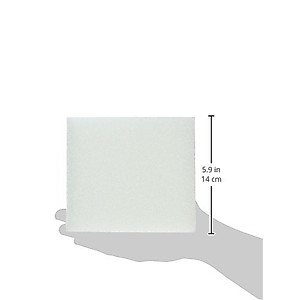 Fluval C4 Foam Pad - 2-Pack