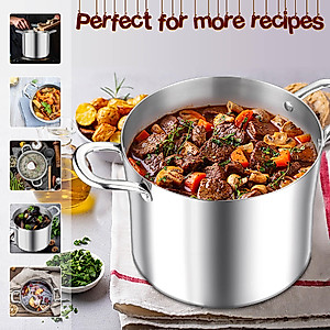 E-far 12 Quart Stock Pot with Lid, Large Stainless Steel Stockpot for Induction Ceramic Gas Stoves, 18/10 Tri-ply Cooking Pot for Soup Stewing Simmering Canning, Heavy Duty & Dishwasher Safe