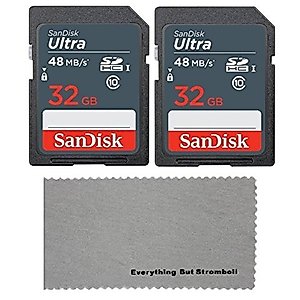 SanDisk 32GB Class 10 SDHC Memory Card 2 Pack Works with Bestguarder HD IP66 Infrared Night Vision Game & Trail Hunting Scouting Ghost Camera Bundle with (1) Everything But Stromboli Microfiber Cloth