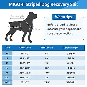 MIGOHI Dog Onesie for Surgery Female, Dog Recovery Suit Dog Cone Aternative, Surgical Suit for Dogs Male Neuter, Dog Body Suit After Surgery, Dog Post Surgery Pajamas, Suitical Recovery Shirt, L