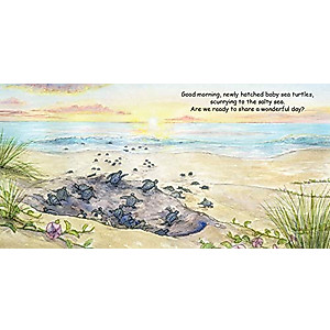 Good Night Turtles (Good Night Our World)