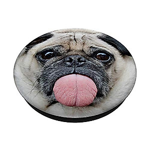 Funny Pug Sticking Out Tongue PopSockets PopGrip: Swappable Grip for Phones & Tablets