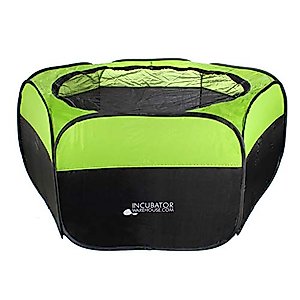 Incubator Warehouse Insta Brooder™ Enclosed Brooder Pen for Hatchlings