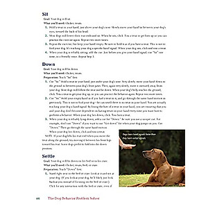 The Dog Behavior Problem Solver: Step-by-Step Positive Training Techniques to Correct More than 20 Problem Behaviors (CompanionHouse Books) Fix Barking, Separation Anxiety, Chewing, Begging, and More