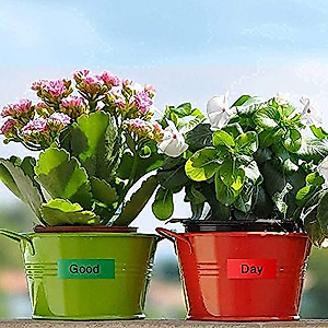 6 Color + 2 White Compatible Label Tape for Brother P-Touch TZe Tape 12mm 0.47 Inch Laminated for PTouch PT-D210 PT-H110 PT-D400 Label Maker, Black on White/Orange/Red/Blue/Yellow/Green, 8Pack