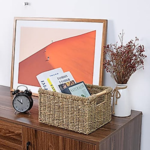 Teri Tale Seagrass Storage Baskets with Wooden Handles, Rectangular Wicker Baskets for Organizing - Decorative Wicker Storage Basket for Living Room (Large)