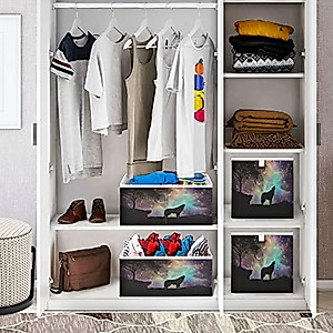 Blueangle Galaxy Wolf Cube Storage Bin, 11 x 11 x 11 in, Large Collapsible Organizer Storage Basket for Home Décor（74）