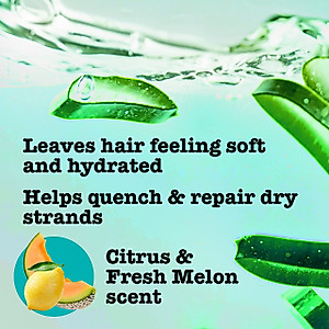 Maui Moisture Heal & Hydrate + Shea Butter (Shampoo & Conditioner),385 ml