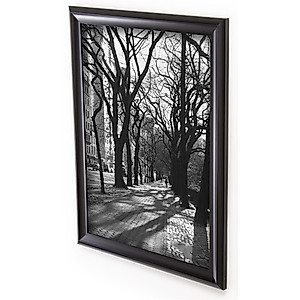 Displays2go Wall Mount Poster Frame and Hooks for Portrait or Landscape Graphics, 18 by 24-Inch, Black