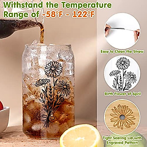Nefelibata Daisy Iced Coffee Cup Birth Flower Beer Glass Can 16OZ Drinking Cup with Bamboo Lid Metal Straw Cleaning Brush April Birth Flower Spring Floral Decor Birthday Gifts for Mom Mother's Day