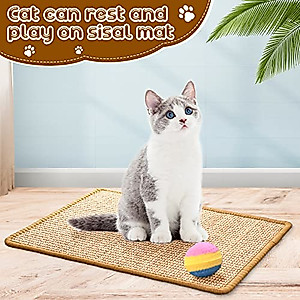 4 Pcs Cat Scratch Mat Sisal Cat Scratching Pad Mat for Cats Scratching Pad Rug for Cat Grinding Claws and Carpets Sofa Couch Furniture Door Protector, Light Brown, 15.7 x 12 Inch