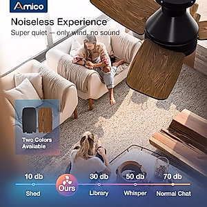 Amico Ceiling Fans with Lights, 30 inch Low Profile Ceiling fan with Light and Remote Control, Flush Mount, Reversible, 3CCT, Dimmable, Noiseless, Black Ceiling Fan for Bedroom, Indoor/Outdoor Use