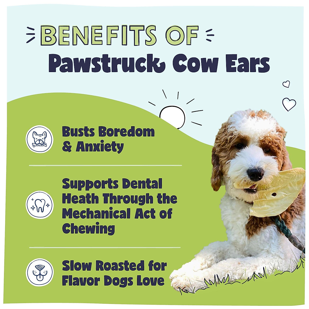 Pawstruck Natural Jumbo Cow Ears for Dogs - Healthy Rawhide Free, Highly Digestible Low Calorie & Long Lasting Dental Chew Treat for Small, Medium, Large Chewers - Pack of 10 - Packaging May Vary