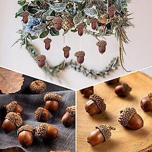menolana 30 Pieces Acorns, Natural Dry Acorns,