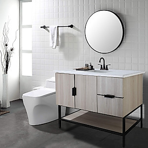 PARLOS 2-Handle Bathroom Sink Faucet High Arc Swivel Spout with Metal Drain Assembly and Faucet Supply Lines, Oil Rubbed Bronze, Demeter 13628