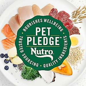 Nutro Ultra Adult Dry Dog Food with a Trio of Proteins from Chicken, Lamb and Salmon, 13 lb. Bag