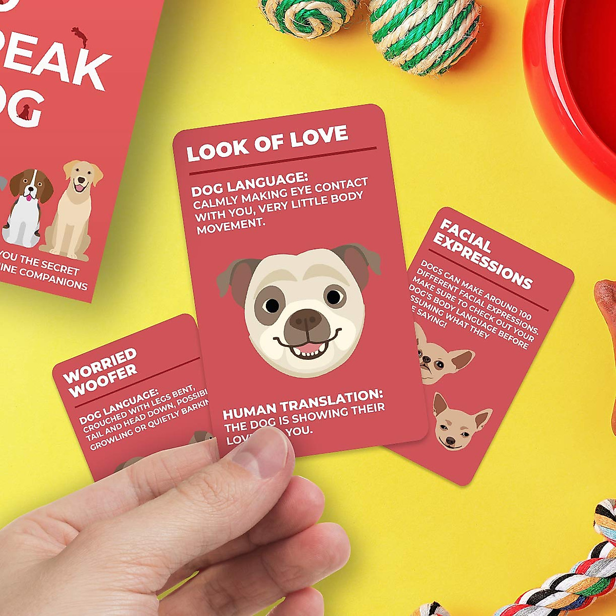 Gift Republic How To Speak Dog 100 Cards Fun Gift for Dog Lovers Learn What Your Puppy is Saying Dog Behaviour Guidance Cards Doggie Language