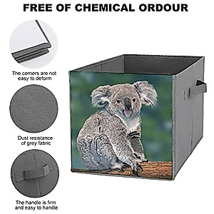 Cute Koala Bear Collapsible Storage Bins Basics Folding Fabric Storage Cubes Organizer Boxes with Handles