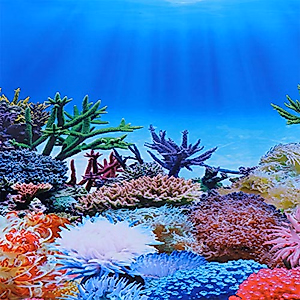balacoo Fish Tank Background Fish Tank 10 Gallon Aquarium Background Sticker 3D Double- Sided Durable Wallpaper Fish Tank Backdrop Decorative Pictures 3D Aquarium Background 3D Aquarium Background