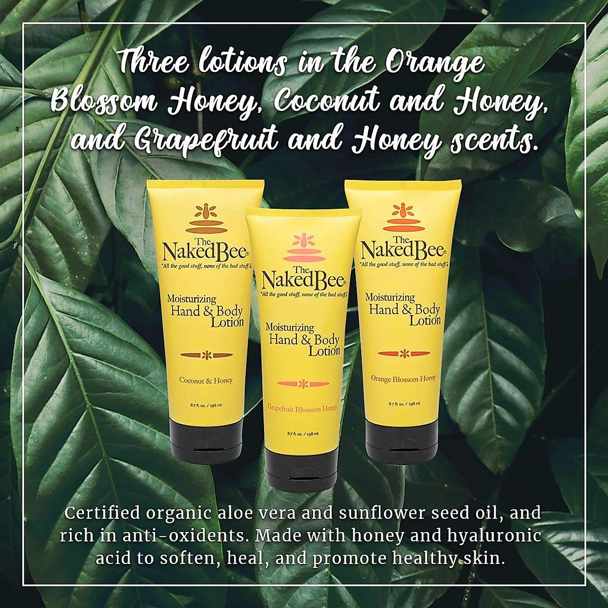 The Naked Bee Orange Blossom Honey, Grapefruit Blossom and Coconut Honey, Hand & Body Lotion (6.7oz) - 3 Pack