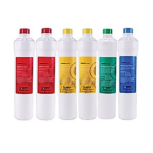 Watts Premier W-2R-2Y-1B-1G Ro Pure Replacement Filter Plus Membrane, 6-pack
