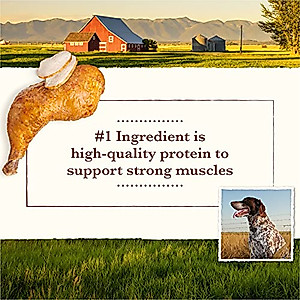 Whole Earth Farms Grain Free Recipe Dry Dog Food, Chicken & Turkey, 25-Pound