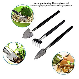 SDAE 15 Pieces Succulent Plants Tools,Mini Garden Hand Transplanting Succulent Tools Miniature Planting,Set for Indoor Miniature Garden Plant Care (Black)