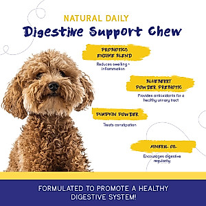 PupGrade 2-Pack Anxiety & Stress and Digestive Support Chews for Dogs - Natural Muscle Relaxant - Prebiotic and Probiotic Supplement with Enzyme Blend - 120 Chews Total