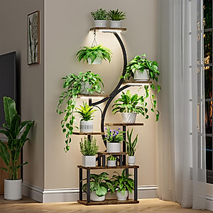 BACEKOLL Plant Stand Indoor with Grow Lights, 8 Tiered Indoor Plant Shelf, 62" Tall Plant Stand for Indoor Plants Multiple, Metal Plant Flower Holder, S-Shaped Plant Rack for Home,Patio(Patent Design)