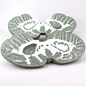 Teaching Model, 10 Scientific Human Anatomy - Human Cerebellum Structural Anatomical Model - Cerebellar Lobular Nucleus Human Brain Anatomical Nervous System Medical Education Aid Anatomy Biology