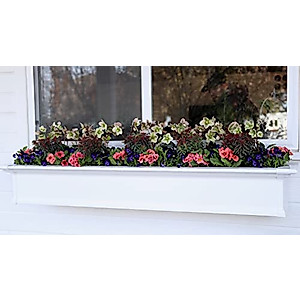 Espoma Organic Bloom! 16-Ounce Concentrated Plant Food – Plant Fertilizer and Bloom Booster for All Flowering Plants. Promotes Vigorous Growth and Blooming