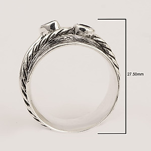 Shine Jewel Spinner Ring with Gemstones 925 Sterling Silver Fidget Band Meditation Ring for Men Women Anxiety Stress Relieving (Purple Amethyst, 9)