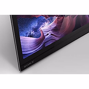 Sony XBR-48A9S 48-inch MASTER Series BRAVIA OLED 4K Smart HDR TV - 2020 Model