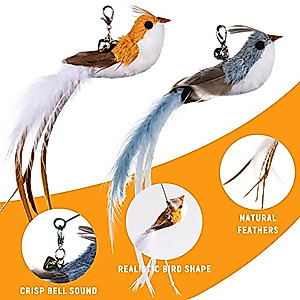 JXFUKAL Cat Feather Toys, Interactive Cat Toy with Super Suction Cup, 2PCS Springy Cat Wand & 5PCS Teaser Refills Replacement with Bells, Kitty Kitten Toys Cat Spring String Toy Cat Accessories