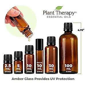 Plant Therapy Invigor Aid Essential Oil Blend 30 mL (1 oz) 100% Pure, Undiluted, Therapeutic Grade