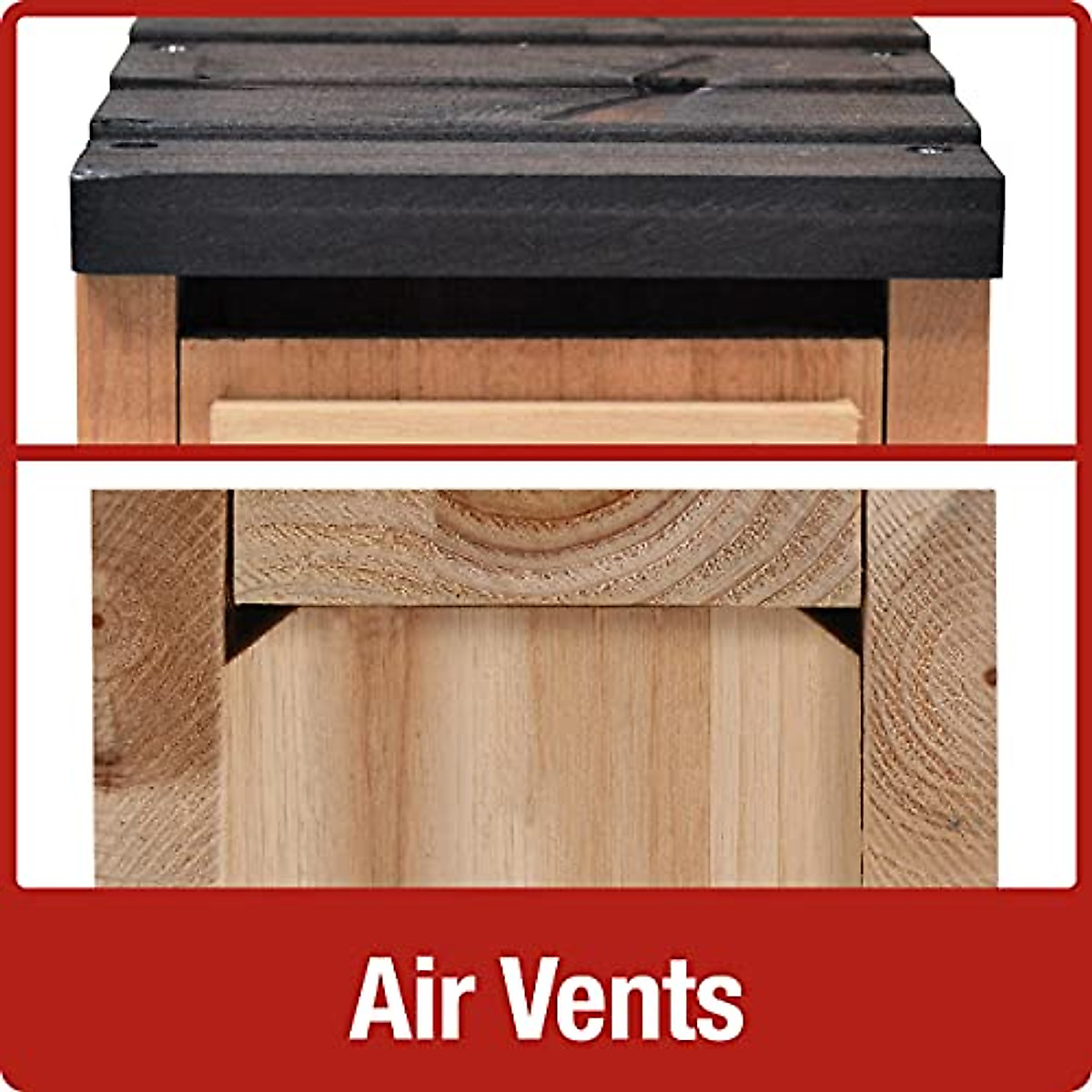 Nature's Way Bird Products CWH3 Cedar Bluebird Box House