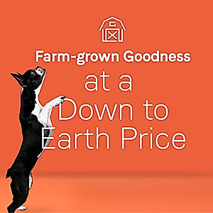 Canidae Under the Sun Premium Dry Dog Food For Puppies, Adults and Senior Dogs, Lamb Recipe, 40 Pounds, Grain Free