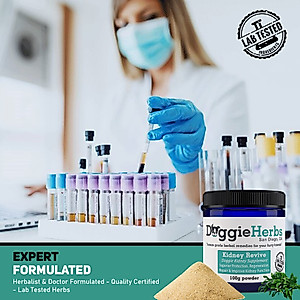 Kidney Revive - 100% Herbal Dog Kidney Health Healing Supplement for Acute and Chronic Ailments by Doggie Herbs